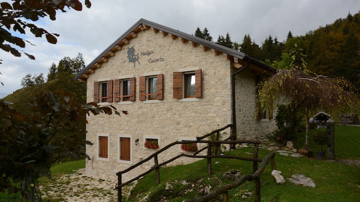 Agribed Quierta - Nerina - Piancavallo