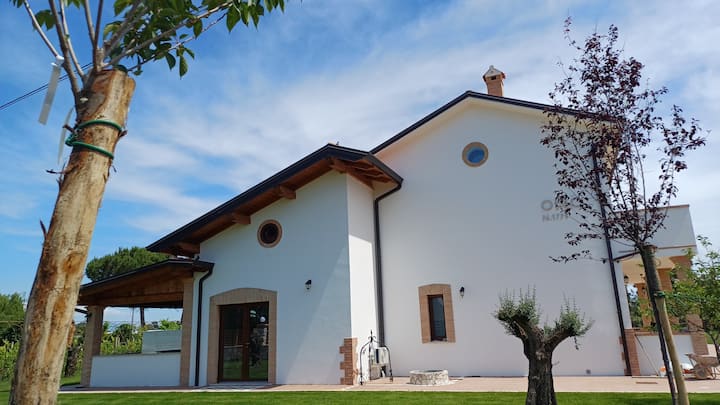 Country Guest House Agro 1798 - San Felice Circeo