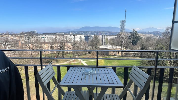 Chambre / Salon, Dans Un Appart, Sans Vis à Vis. - Geneva