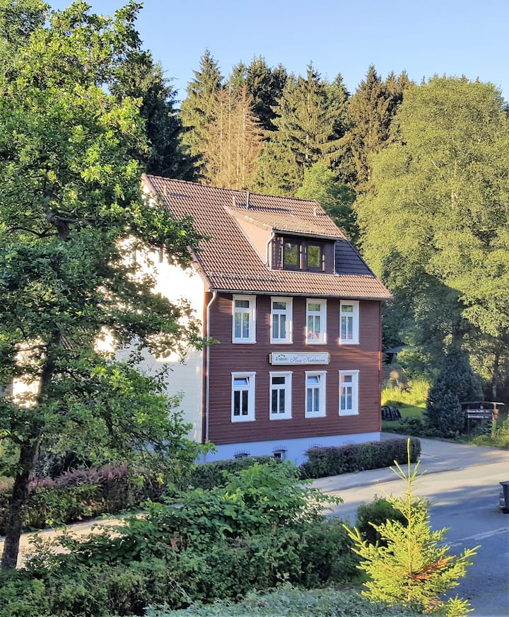 Apartment Für Individualisten - Altenau