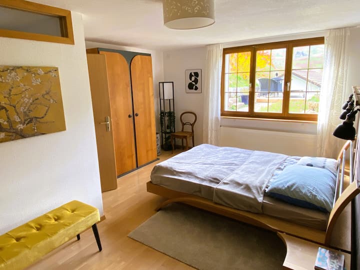 Zenzi 15 - Kanton Basel-Landschaft