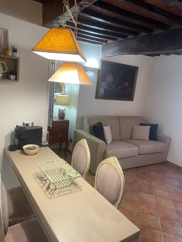 Pietre Antiche Loft - Manciano