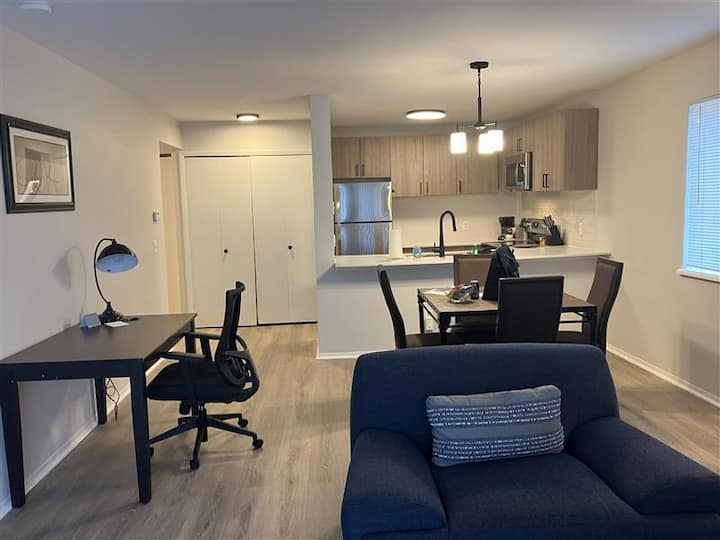 Comfy Quiet 1 Bedroom- Ann Arbor - Ann Arbor, MI