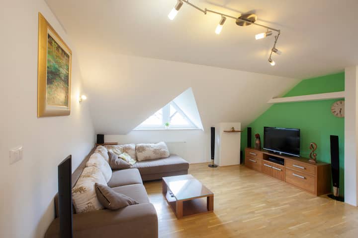 Cozy And Spacious Apartment - Bled