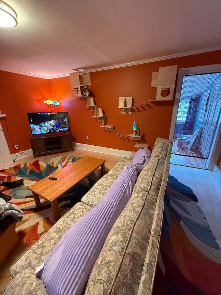 Kids, Cats And Canines (Dogs) 113 N. Main #4 - United States