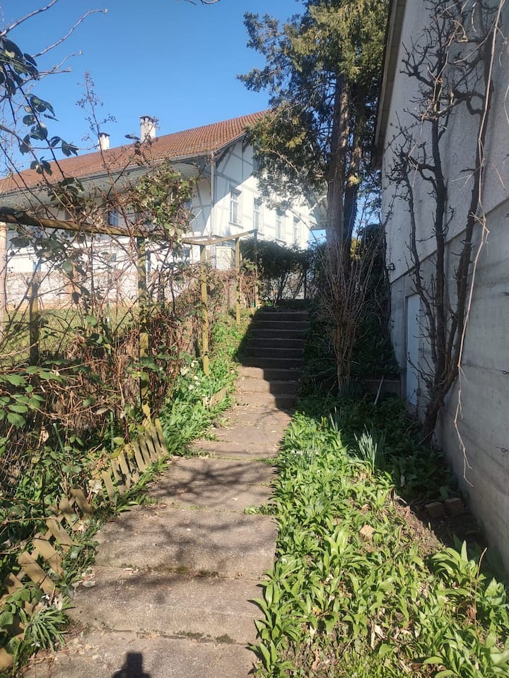 Studio Apartment - Bern