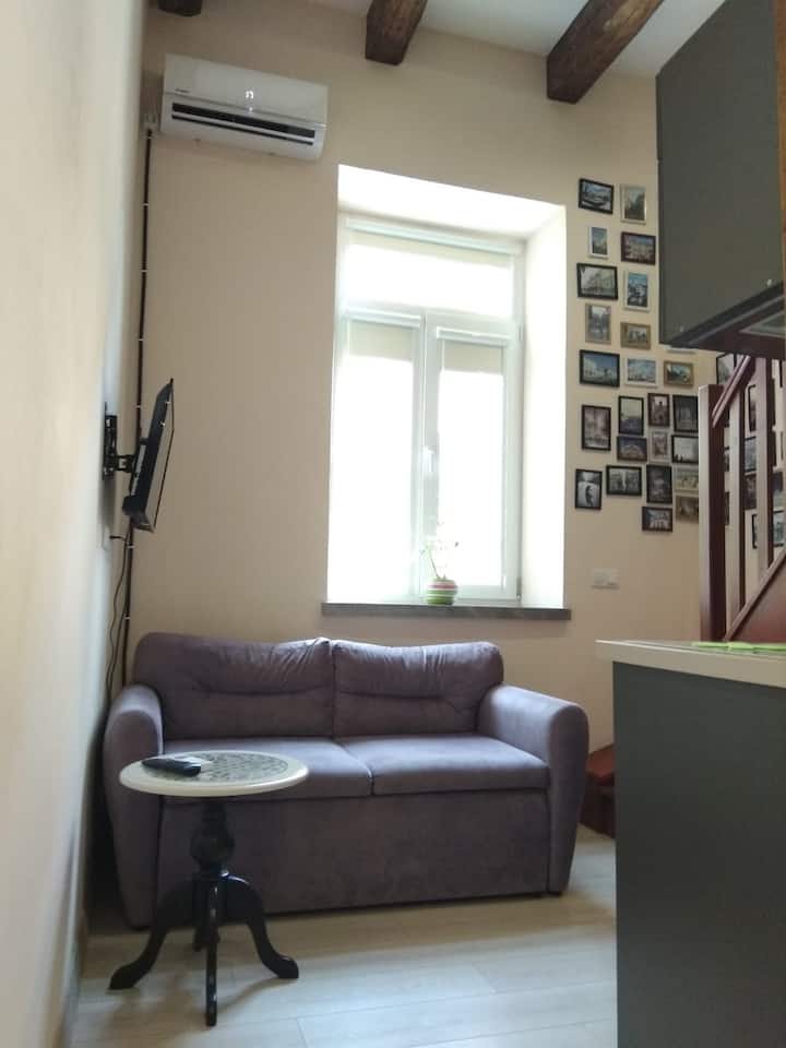 Chorni Vivtsy - One-bedroom Apartment - Chernivtsi