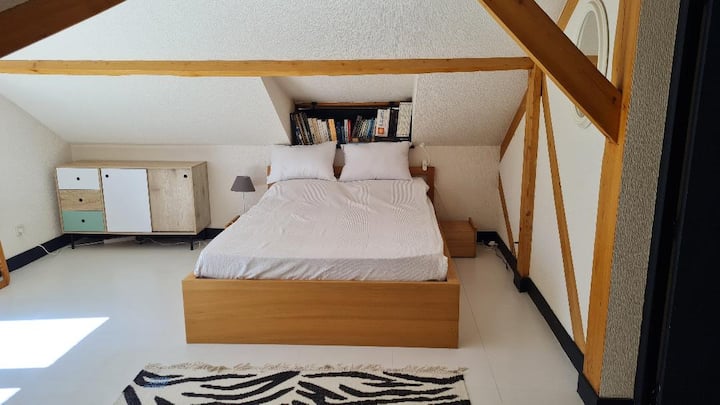 1 Chambre Atypique Avec Salon Et Espaces Privatifs - Turenne