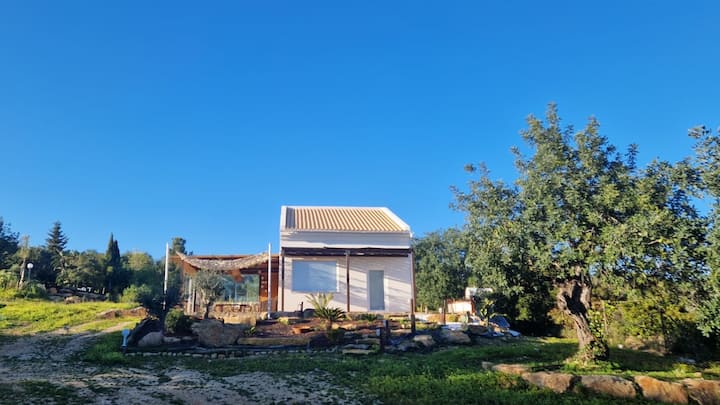 Casa Cavalo Marinho - Olhão