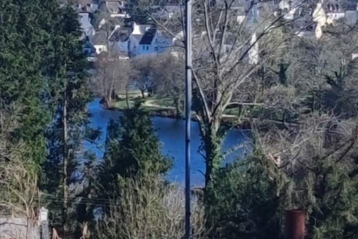 Oasis Dans Les Arbres . - Forêt de Huelgoat