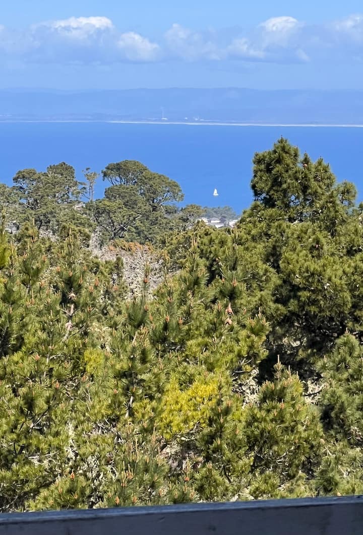 Bright Ocean Views In Pebble Beach! - Monterey, CA