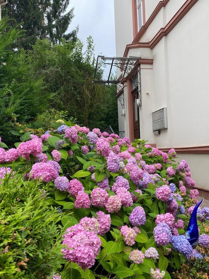 Stilvolles Dg-apartment In Der Villa Nerotal - Wiesbaden