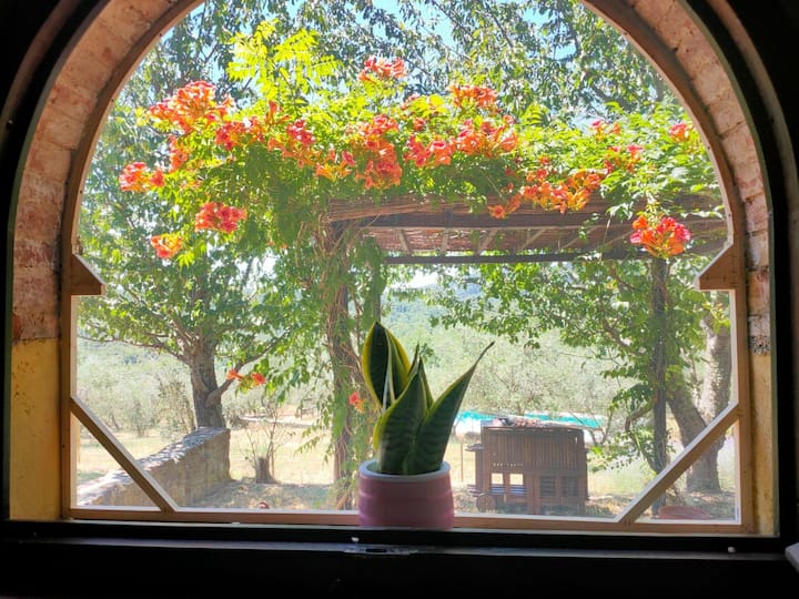 Limone Vrijstaand Huisje 40m2 Uitzicht Zwembad - Toscane