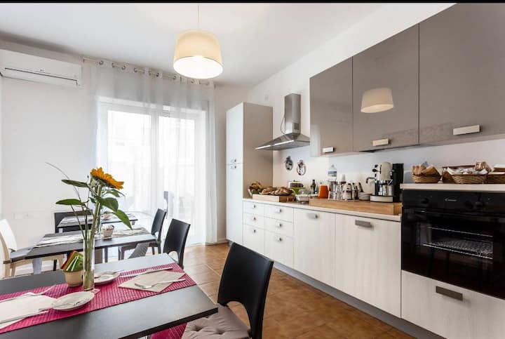 New Alexander - Syracuse