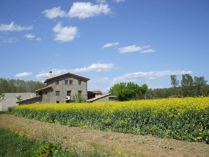 Can Iglèsies - Olot