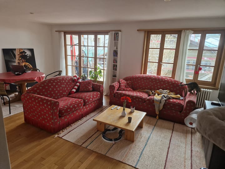 Bedroom In A Flat In The Village - Saanen