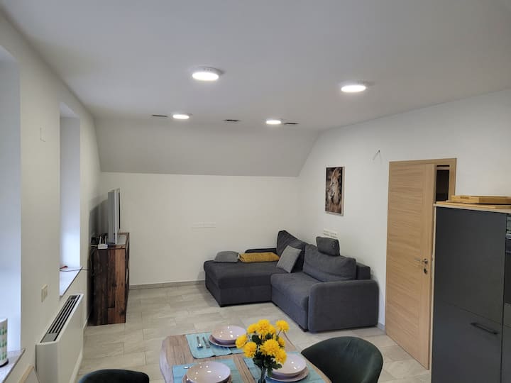 Kranj Leisure Apartment -