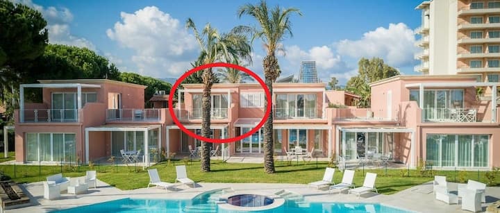 Delfino-grecale - Falcone