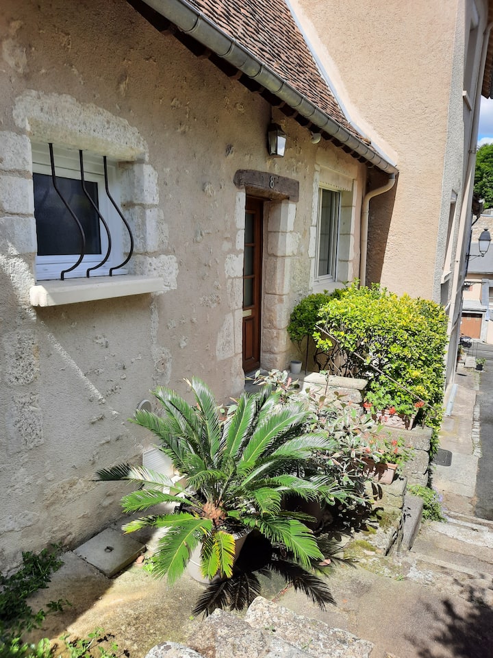 Maison Calme Sur Site Classé - Le Blanc
