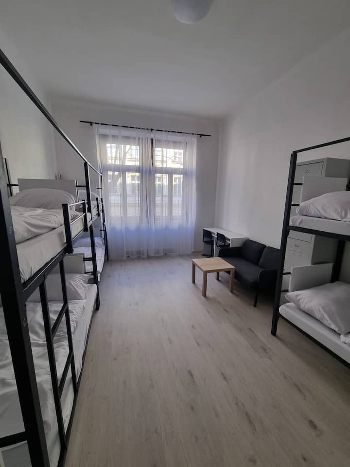 Private Room With Shared Spaces - Prag