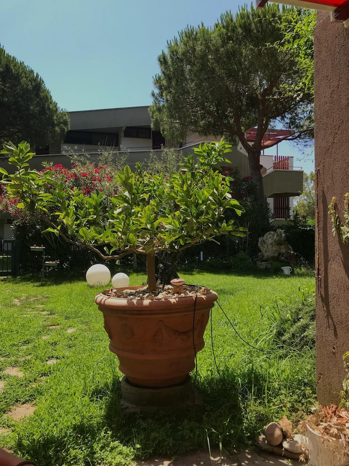 Casa Marina Di Bibbona - Bibbona