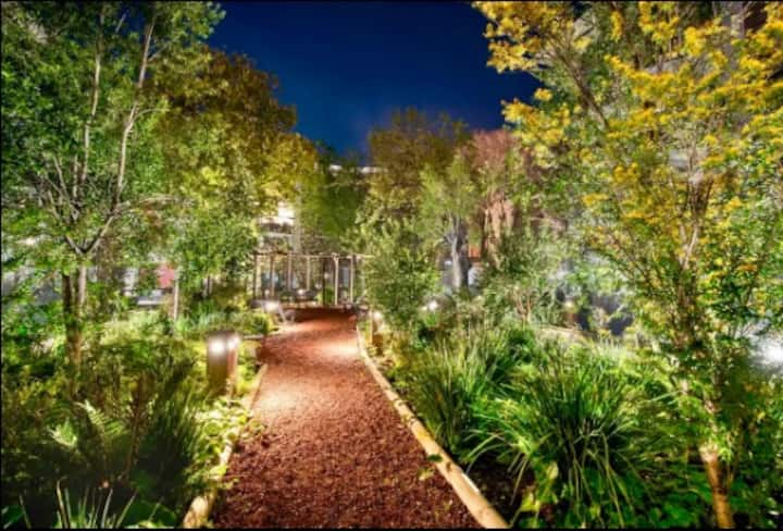 Exclusivo Y Elegante Departamento En Pucón. - Pucon