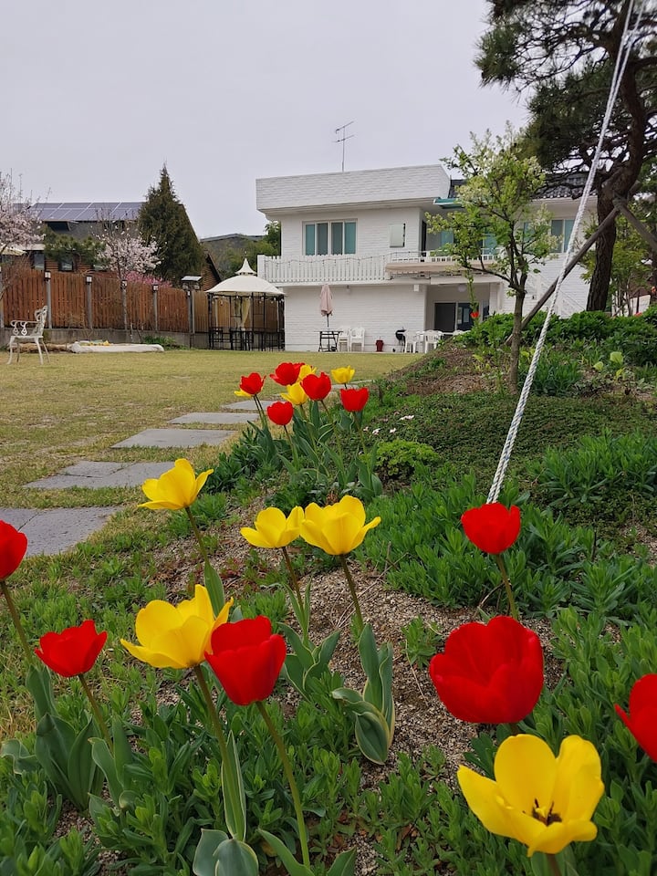 강변해밀민박 - 고령군