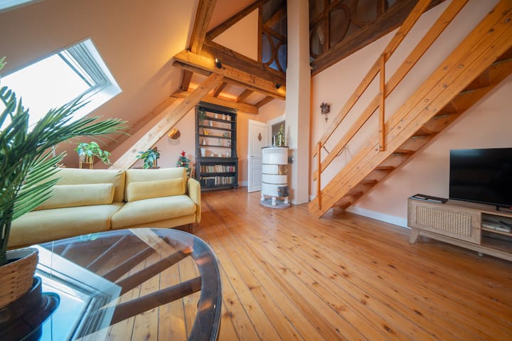 Grand Appartement Colmar Stationnement Gratuit - Colmar