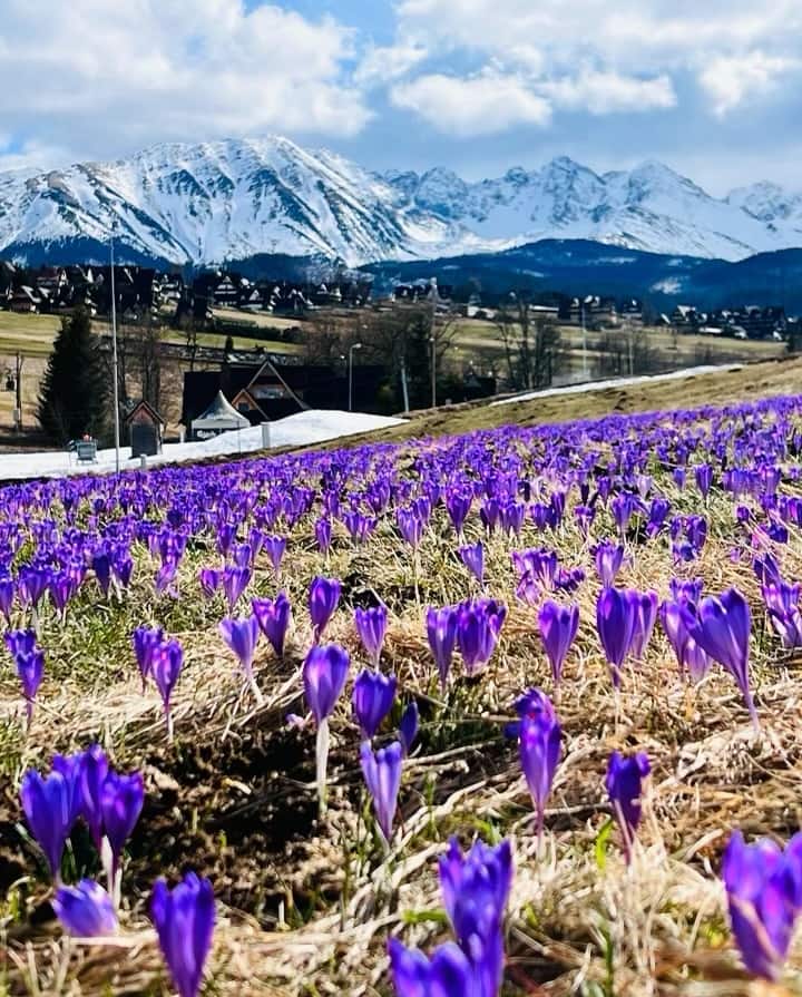 Domki Tatrzańskie Kącina 
Murań - Zakopane