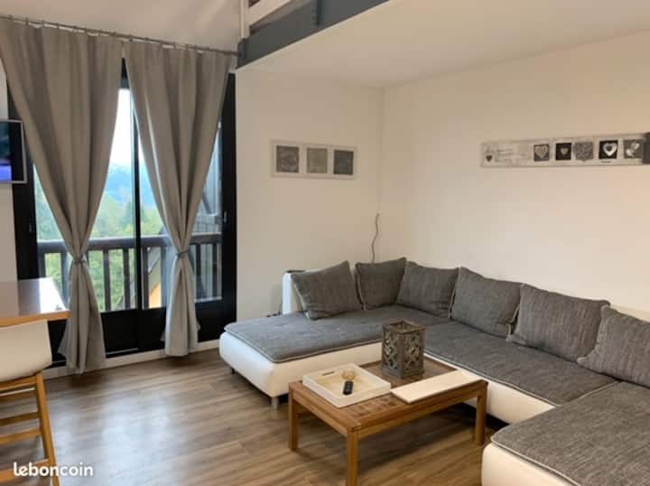 Grand Triplex Entièrement Rénové - Ax-les-Thermes