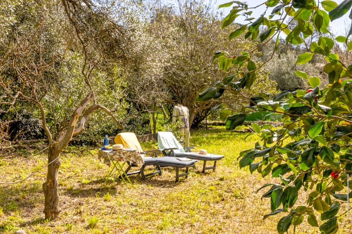 Villa Jacqueline - Cap Corse