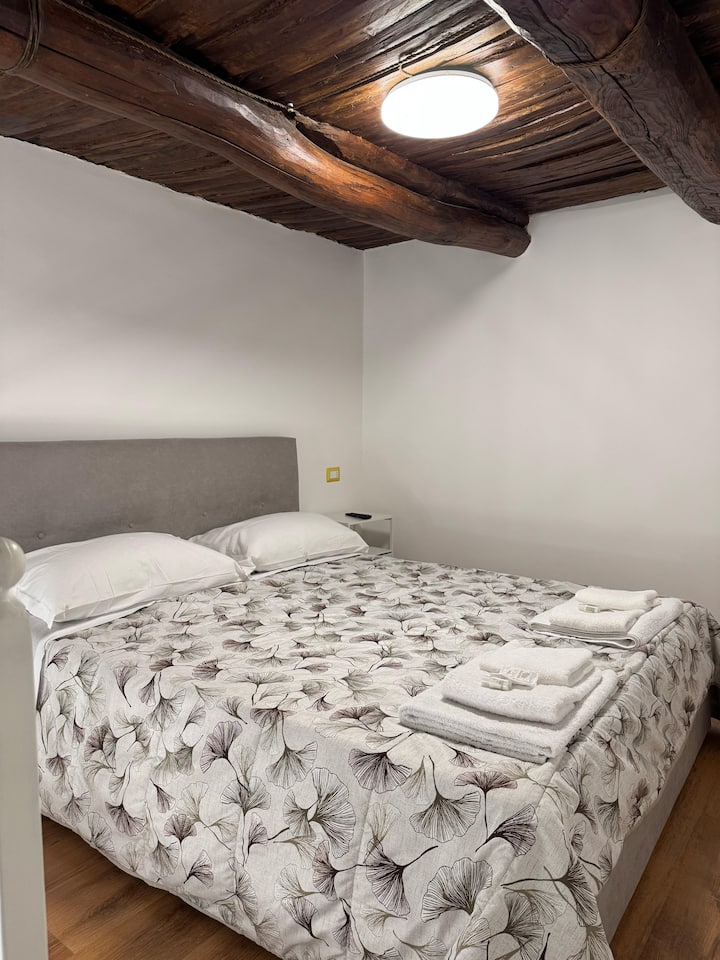 Gioia Apartment's 3 - Capua