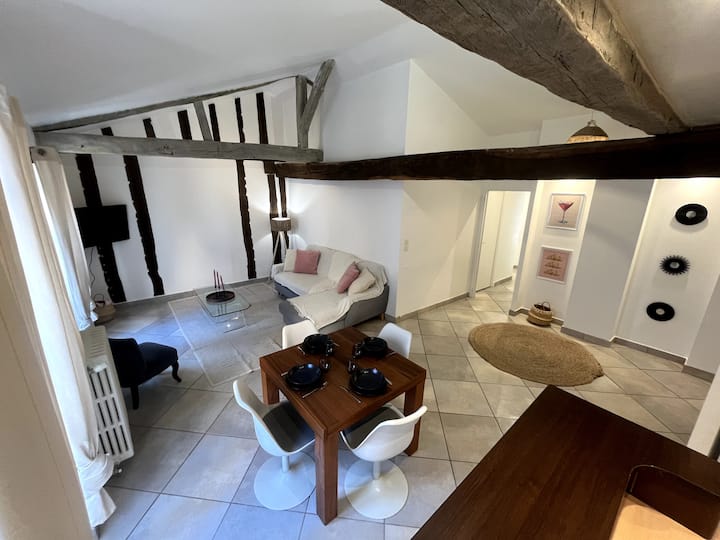 Charmant T3 (Hyper Centre) - Mably