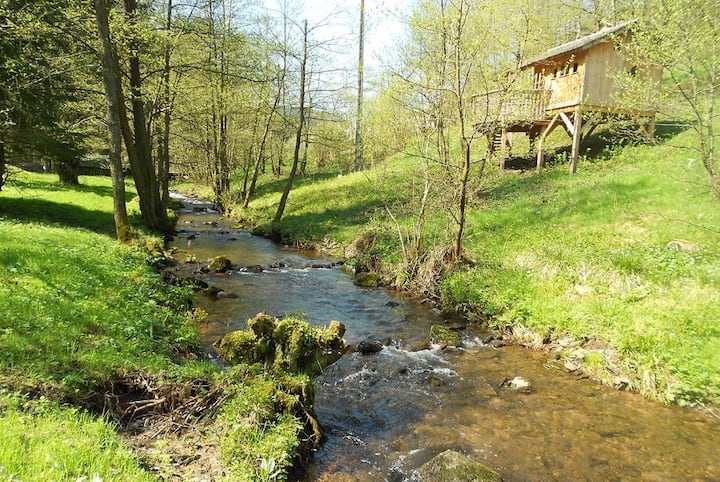 La Cabane L'ile Aux Pêcheurs - Alsace - Schirmeck