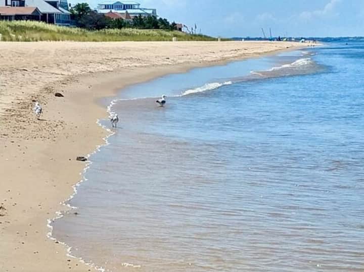 Beachside Spot -Walk To Sand - Norfolk, VA