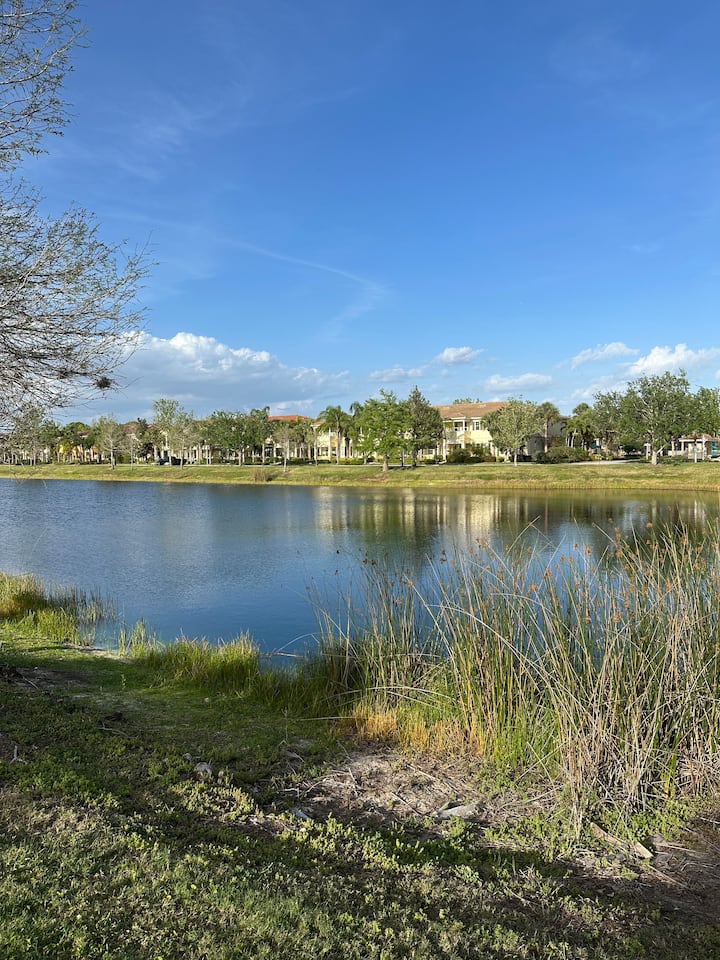 Private Room To Share @ Sarasota - Sarasota, FL
