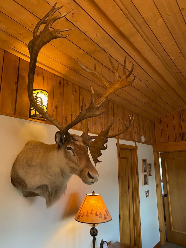 Homer Cabins 3 Bedroom House 2 Bath - Homer, AK