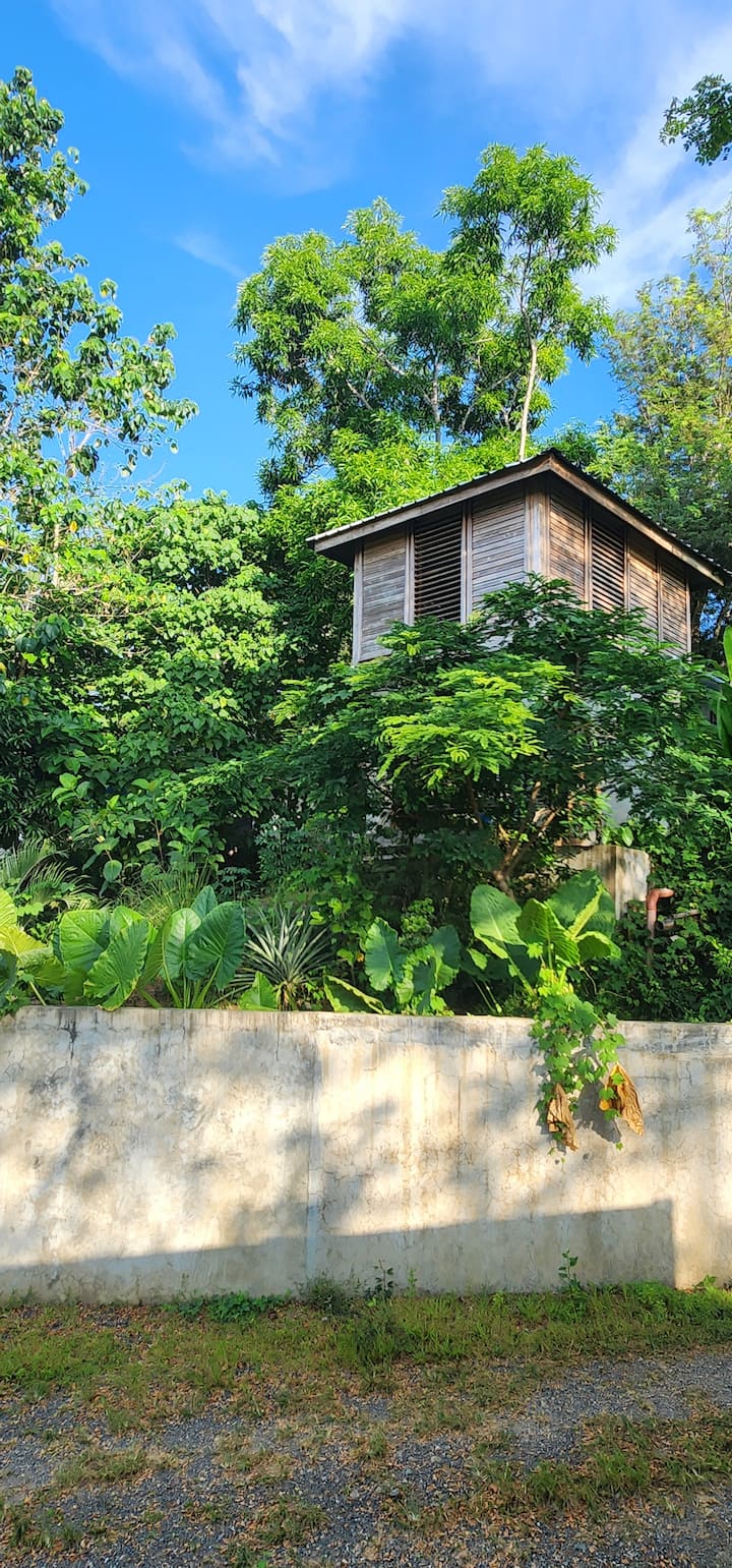 Treehouse With A View - Puerto Princesa