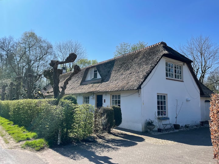 D'oude Hoeve - Hoogstraten