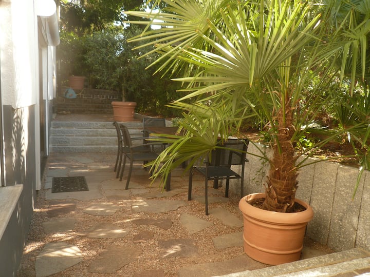 Business-apartment, Heidelberg - Heidelberg