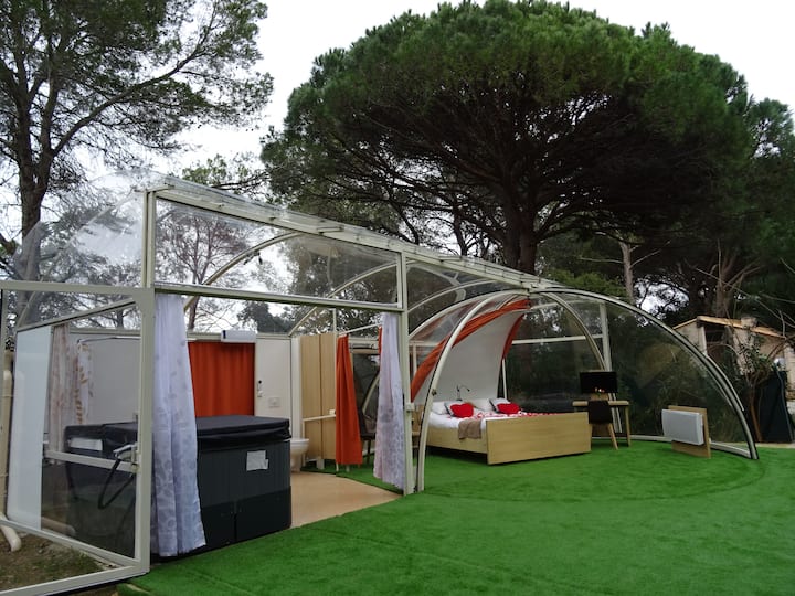 Bulle Sous Les Muriers Pmr - Le Muy