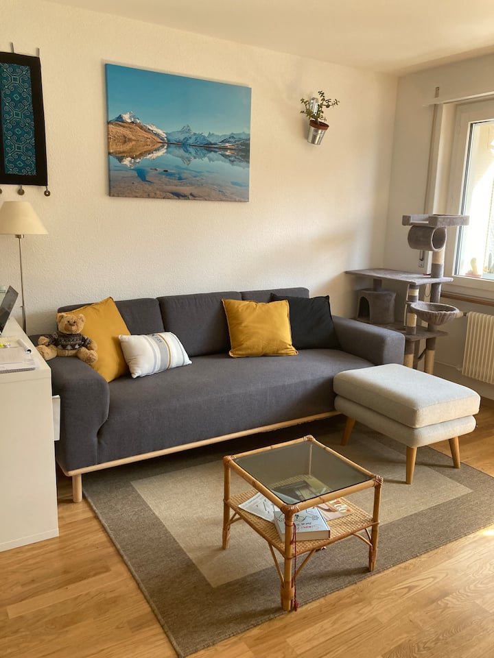 Your Apartment In Bern! - Bern