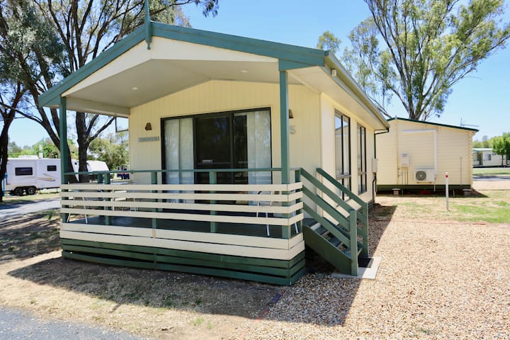 Lemon Gum - Junee