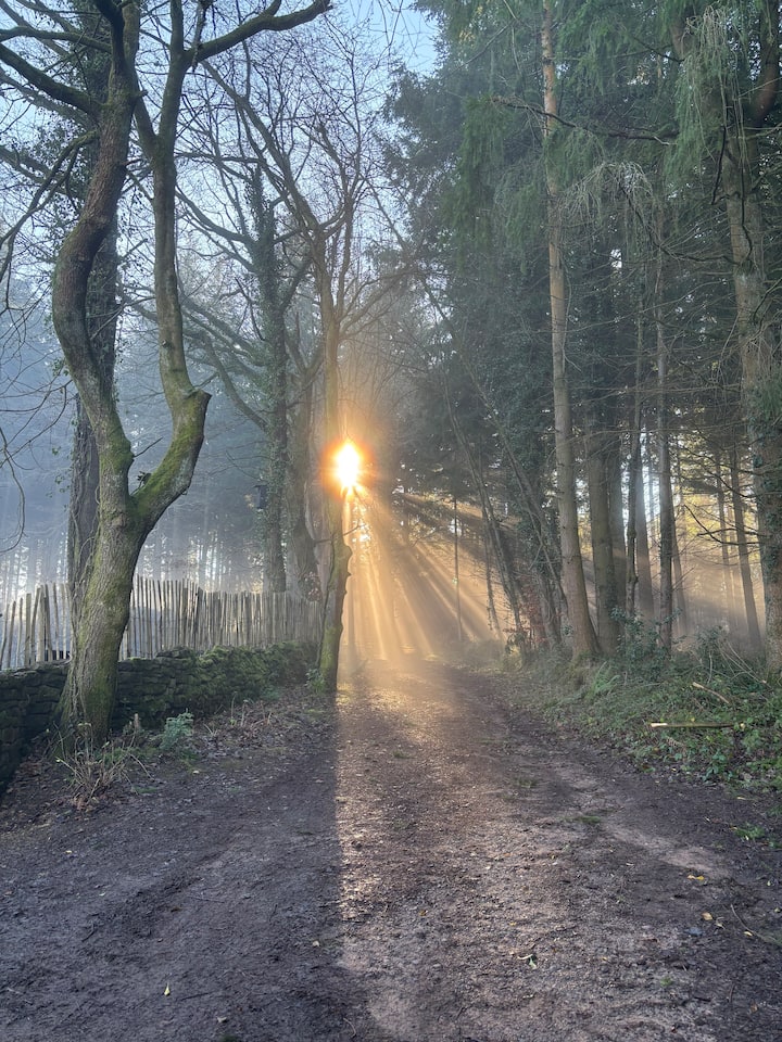 Cabin In The Woods - Monmouth