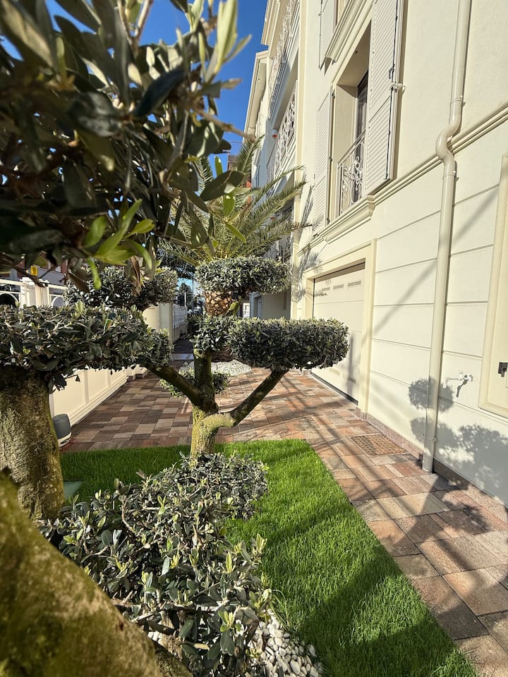 Palm's Heaven: Rimini - Rimini