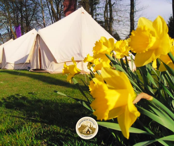 Edinburgh Festival Glamping - Edinburgh, UK