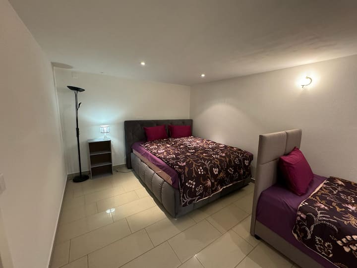 Appartement Dans Une Villa - Saint-Julien-en-Genevois