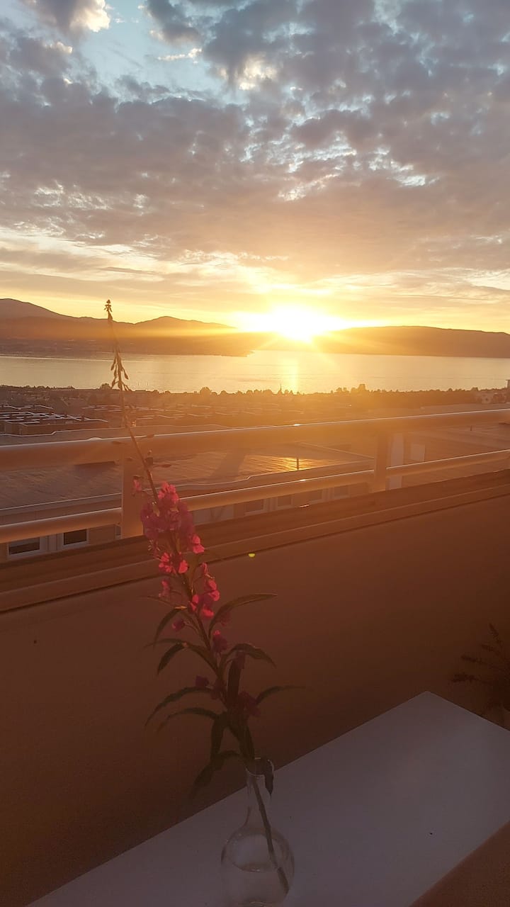 Midnight Sun And Aurora View - Tromsø