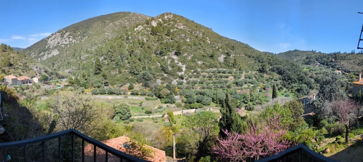 Charmante Maison De Village - Roquebrun