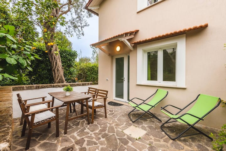 Lemon Tree - Sorrento